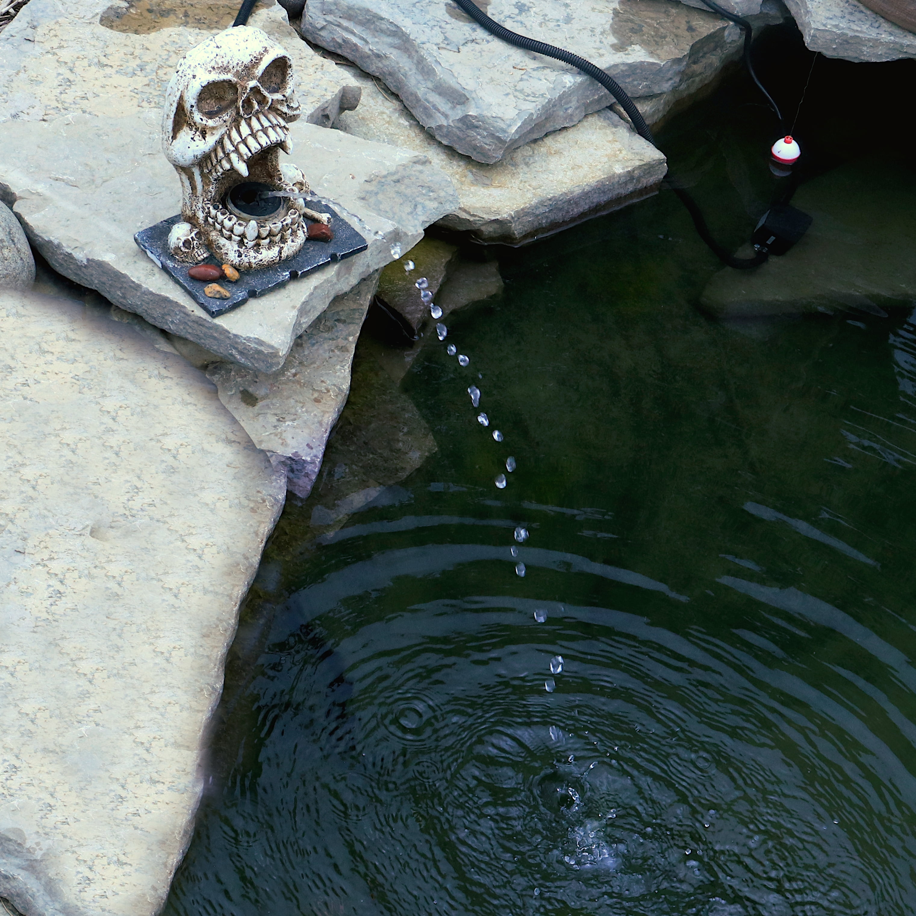 Custom Pro Skull Statuary Fountain Spitter Decorative Outdoor Water ...