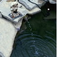 Custom Pro Skull Statuary Fountain Spitter Decorative Outdoor Water ...