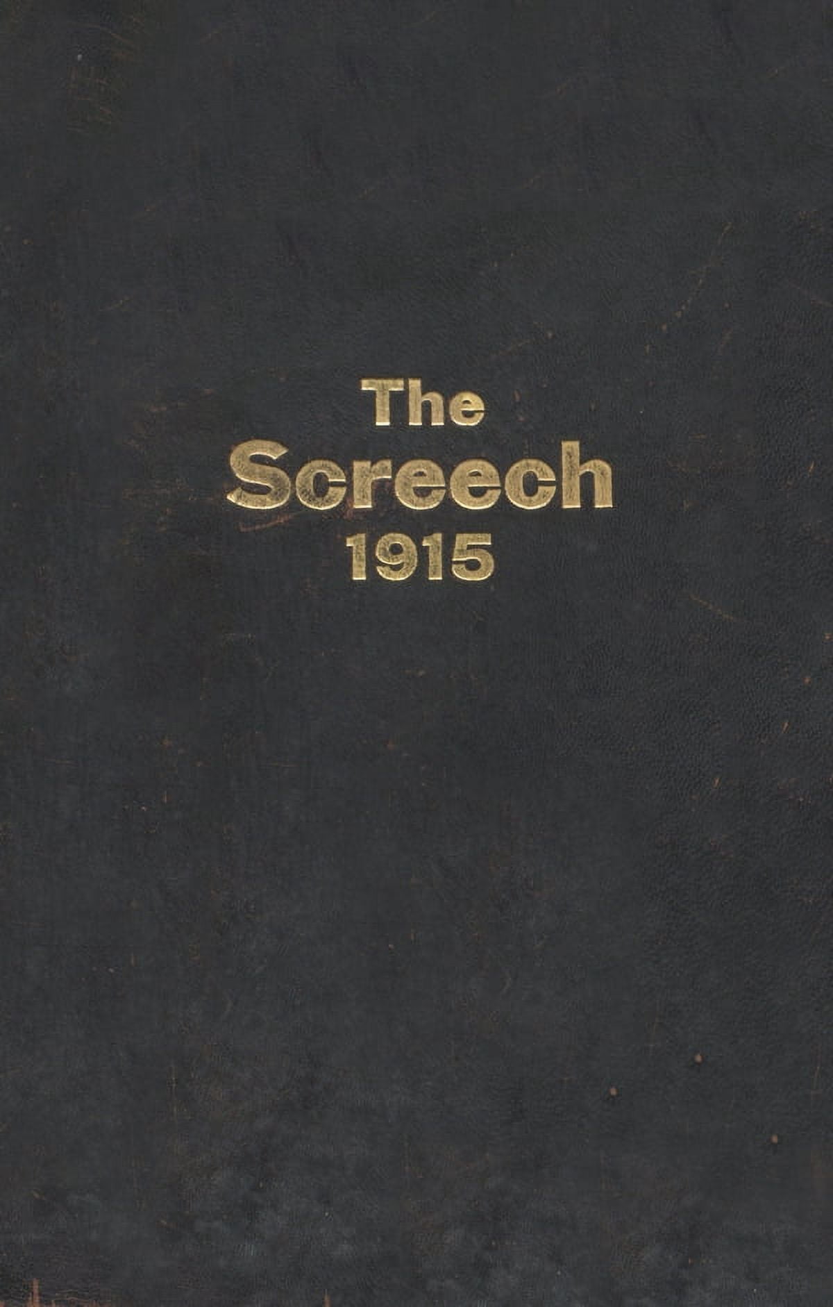 (Custom Reprint) Yearbook: 1915 Albia Community High School - Screech ...