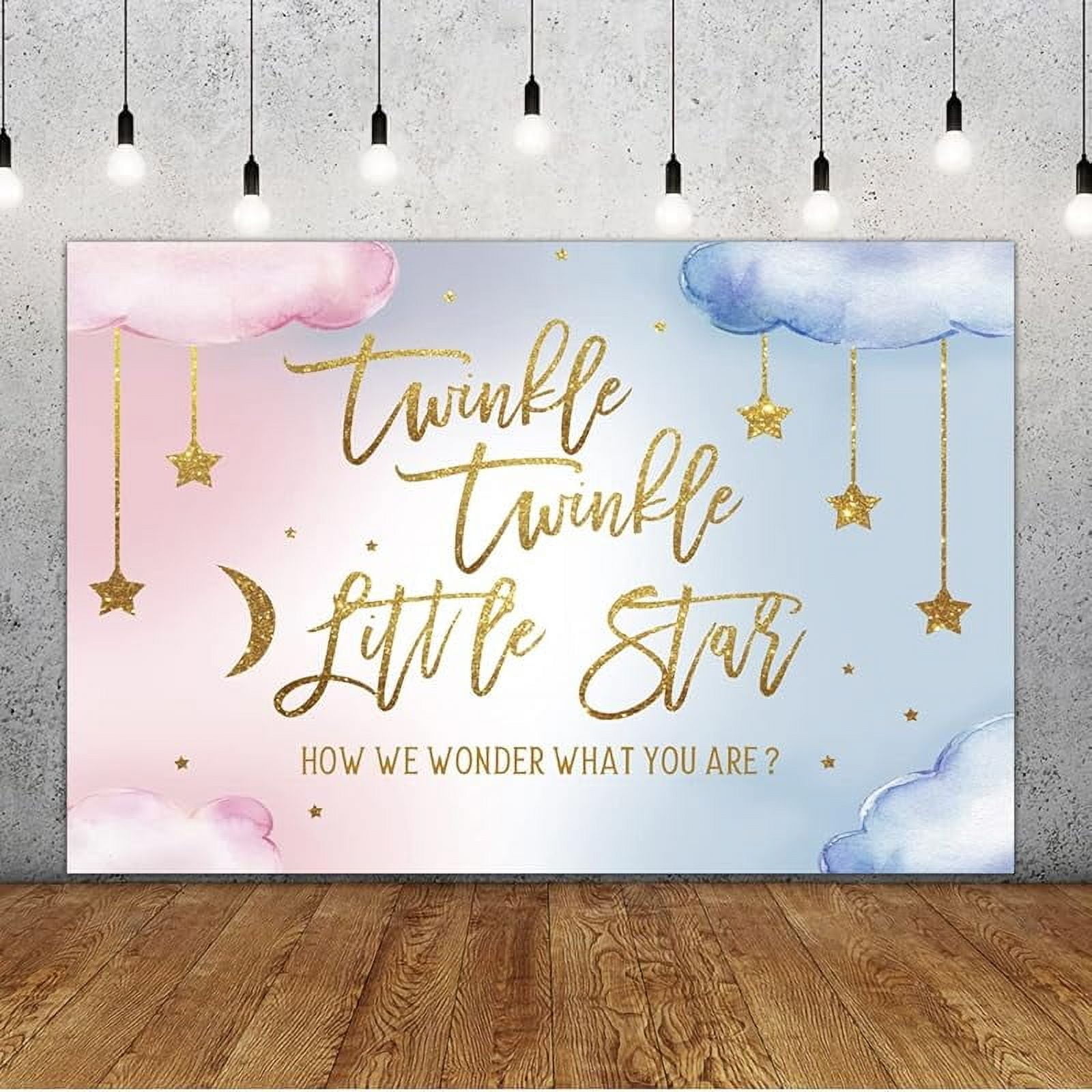 Custom Twinkle Twinkle Little Star Gender Reveal Backdrop Boy or Girl ...