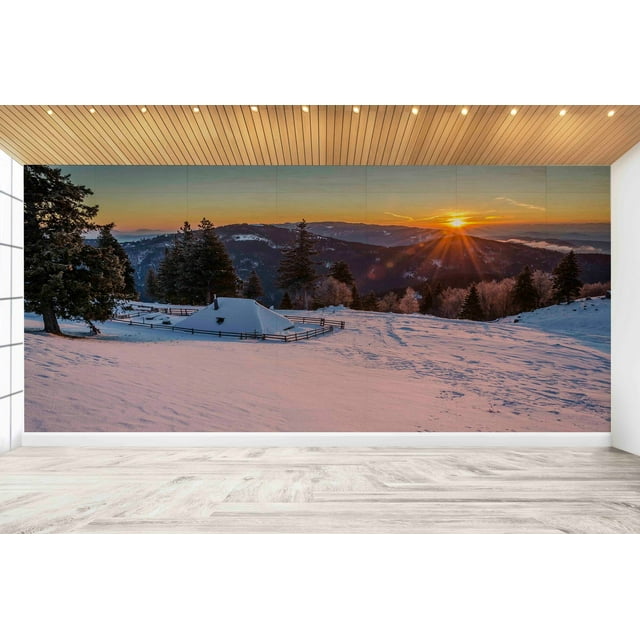Custom Wallpaper, Bright Wallpaper, Winter Wall Mural, Forest Landscape ...