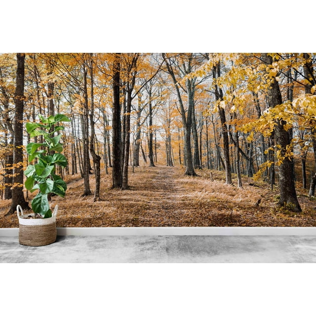 Custom Wallpaper, Forest View Wall Print, Tree Wall Print, Bright ...