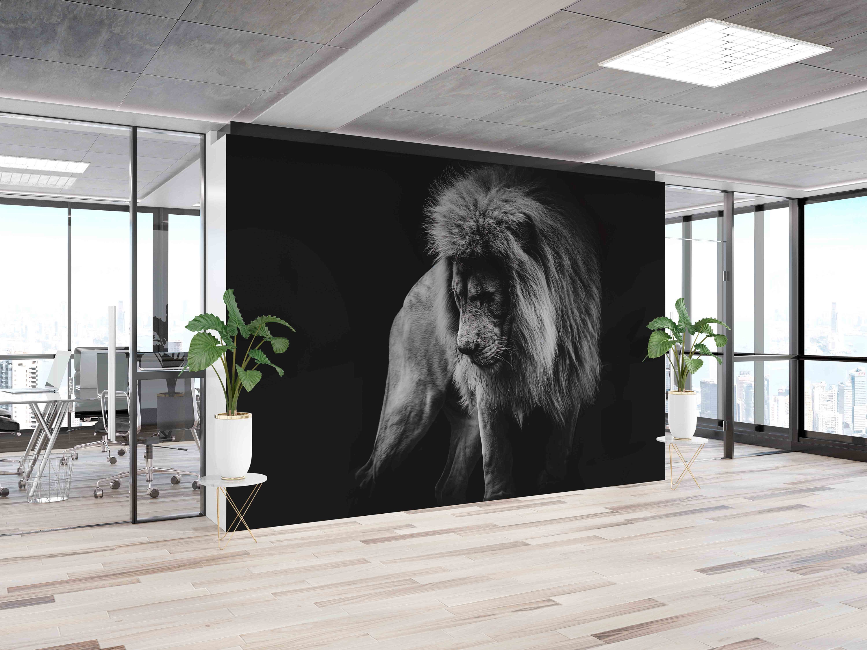 Custom Wallpaper, Lion Wall Poster, Bright Wallpaper, Portrait of a ...
