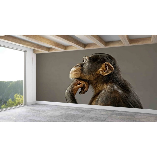 Custom Wallpaper, Thinking Monkey Photo Print, Wallpaper Wall Art ...
