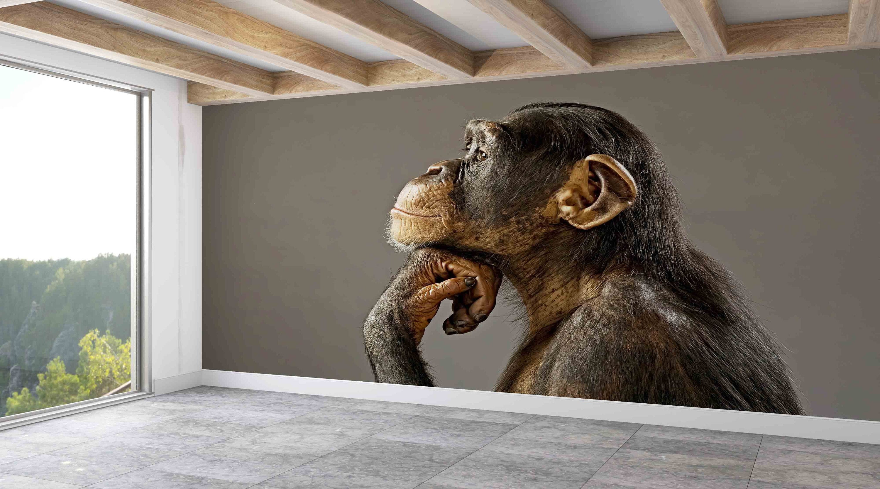 Custom Wallpaper, Thinking Monkey Photo Print, Wallpaper Wall Art ...