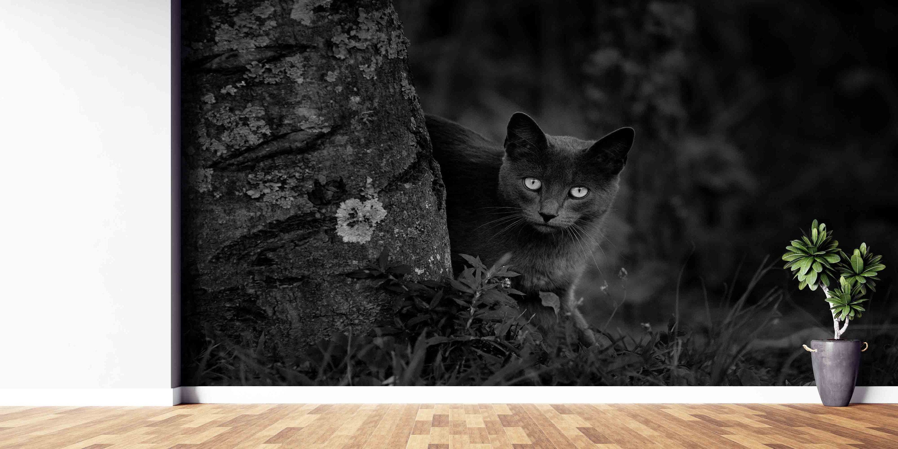 Custom Wallpaper, Wallpaper Wall Art, Cat Wall Poster, Paper Wall Art ...