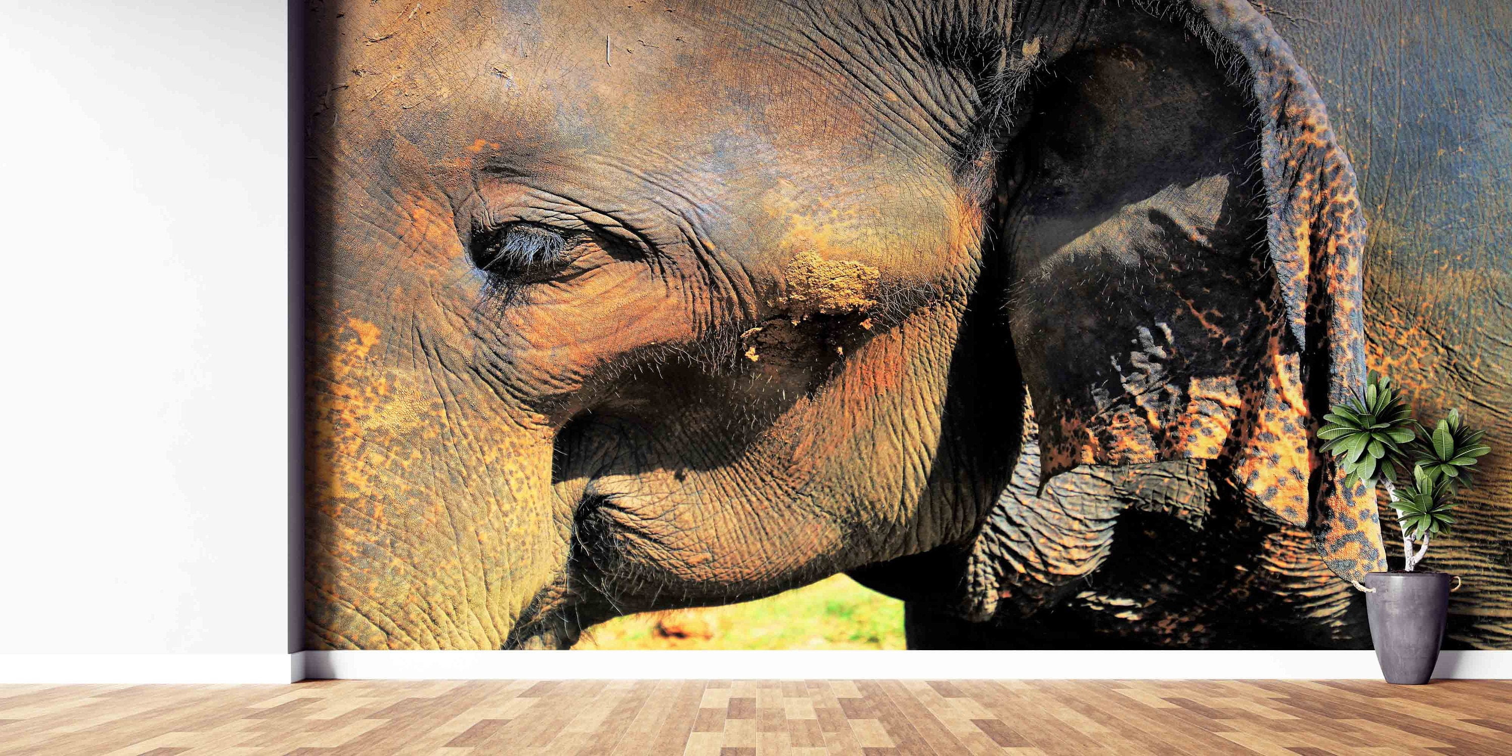 Custom Wallpaper, Wallpaper Wall Art, Paper Wall Art Wild Elephant Wall ...