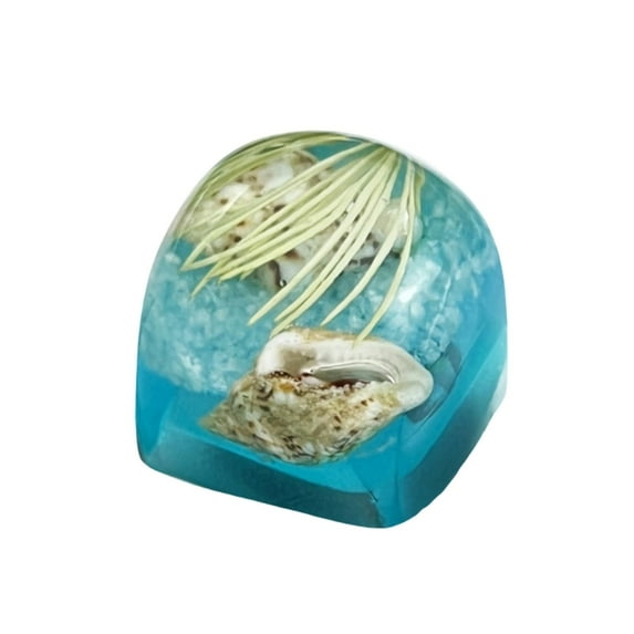 Customizable Transparent Resin Keycaps With Seashell Marine Life ...