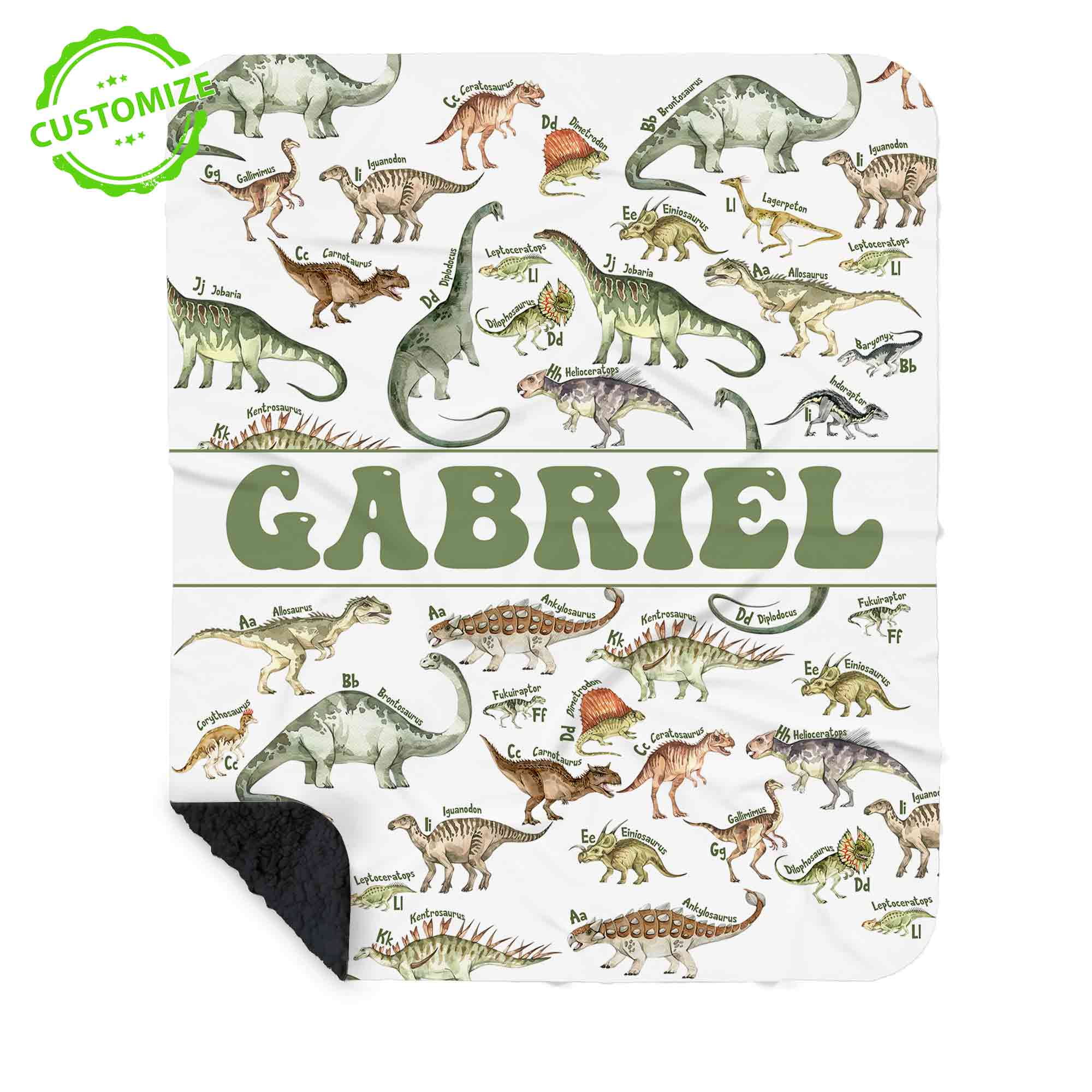 Customizaholic Custom Dinosaur Alphabet Blanket with Personalized Name ...