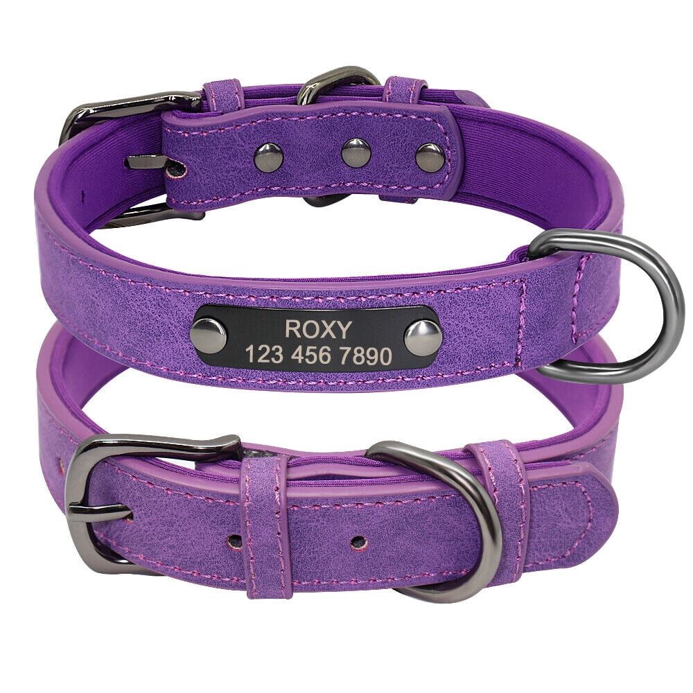 Customized Leather Dog Collar Soft Padded Personalized Pet Puppy Cat ...