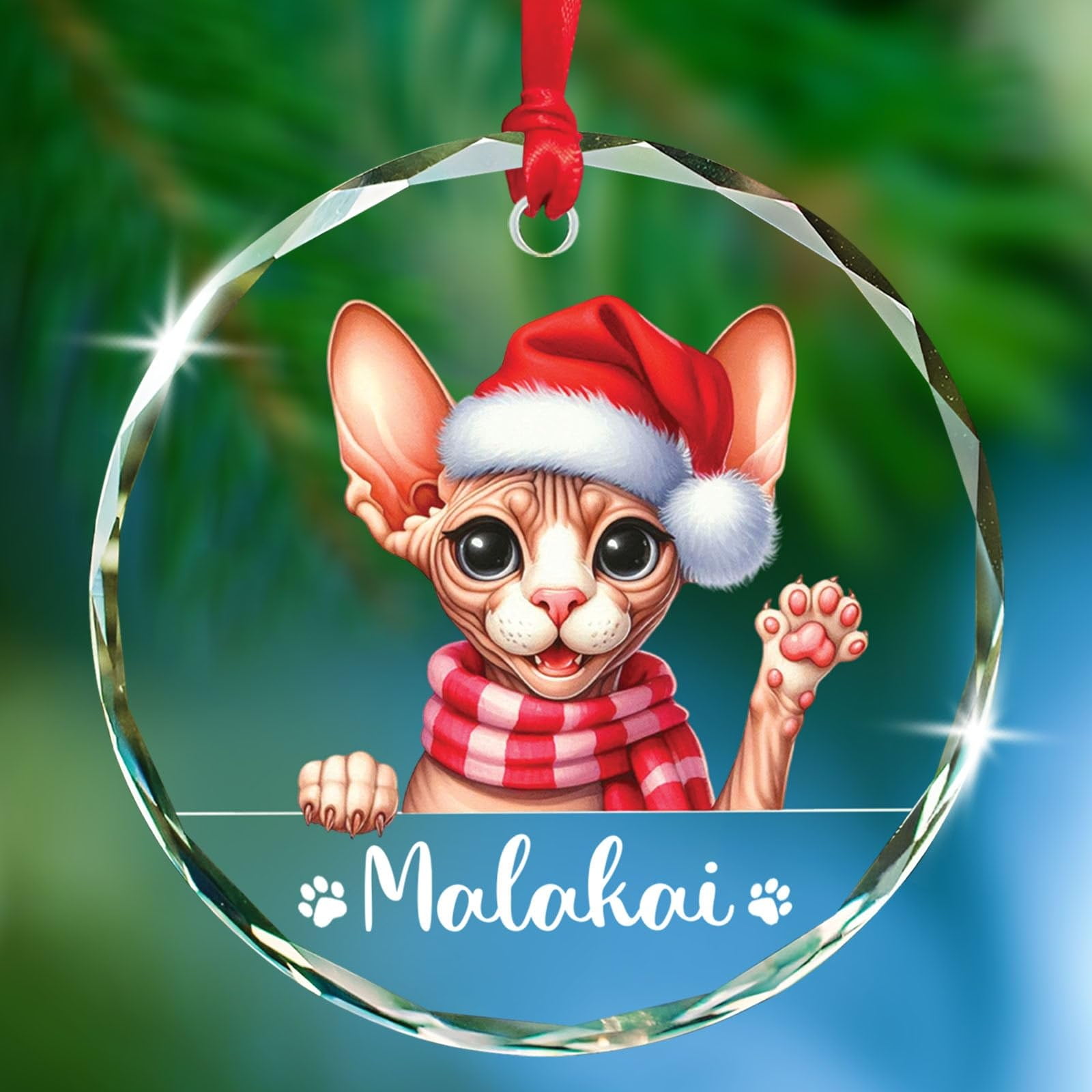 Customized Name Sphynx Ornament Gifts for Cat Dad Cat Mom, Waving ...