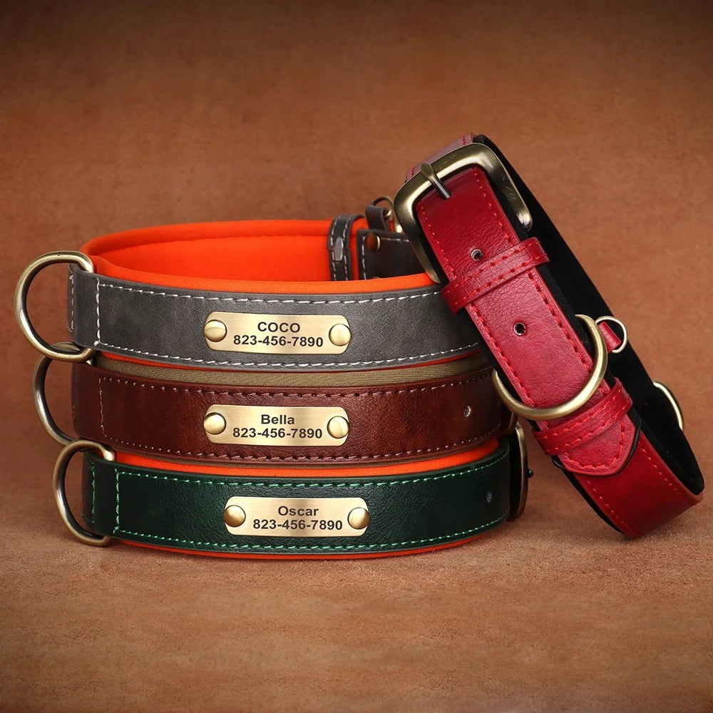 Customized Personalized Leather ID Nameplate Dog Collar Soft Padded ...