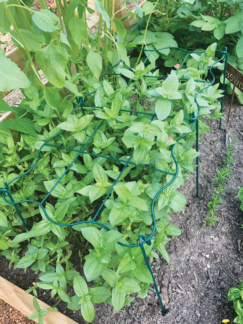 Cut Flower Grid Support Set of 2 - Walmart.com