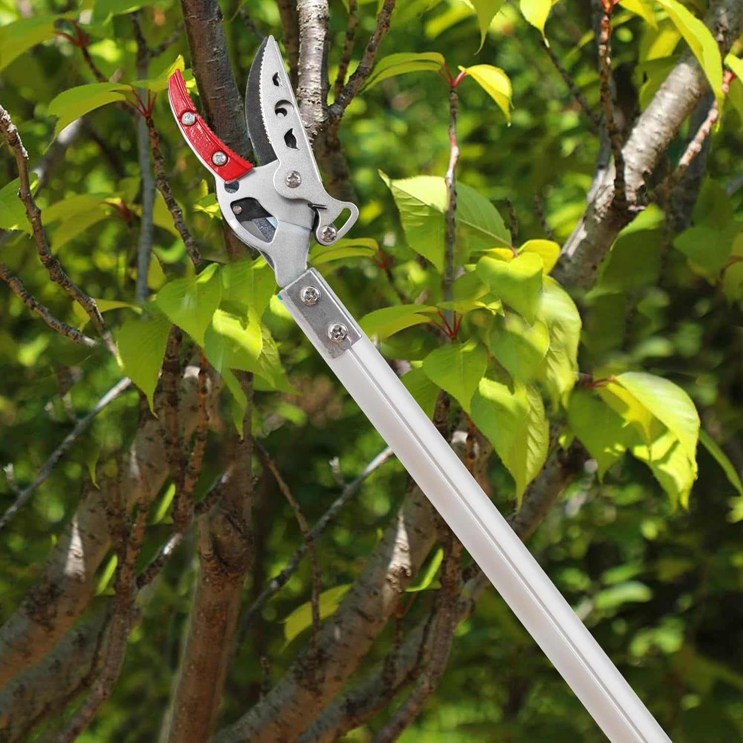 Cut & Hold Pole Pruner, 4.2 FT Lightweight Fruit Picker with 180 ...