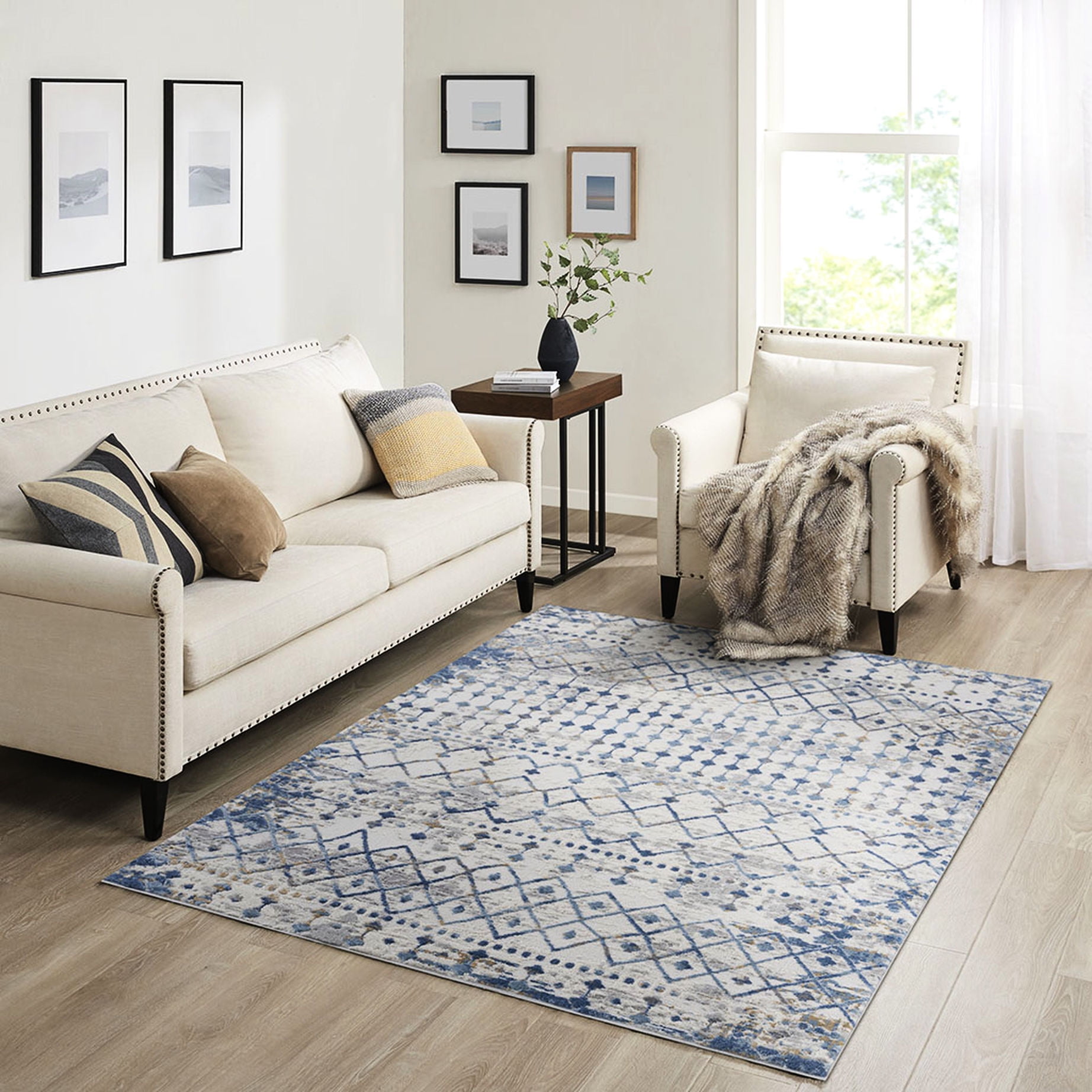 Cut and Loop Area Rug, Anti-Slide Reverse, Multiple Sizes - Ideal for ...