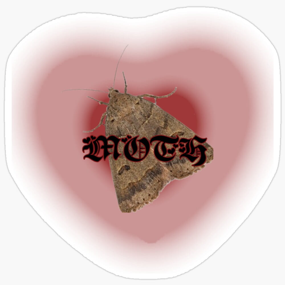 Cute Aesthetic Goth Or Emo Moth Sticker Phone Decal Water Bottle ...
