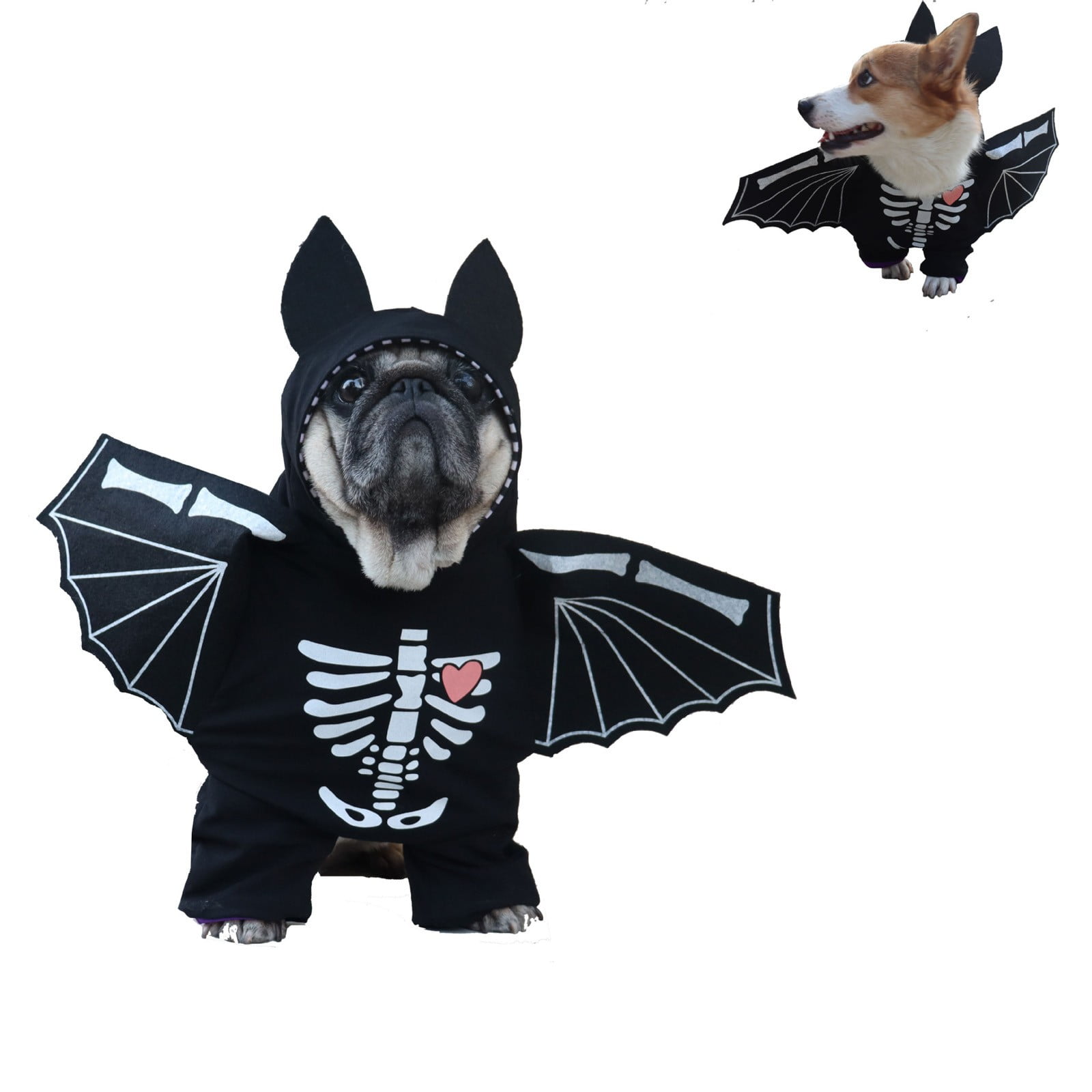 Cute Animal Stuff Pet Ffnny Bat Change Into A Cat Dog Festival Funny ...