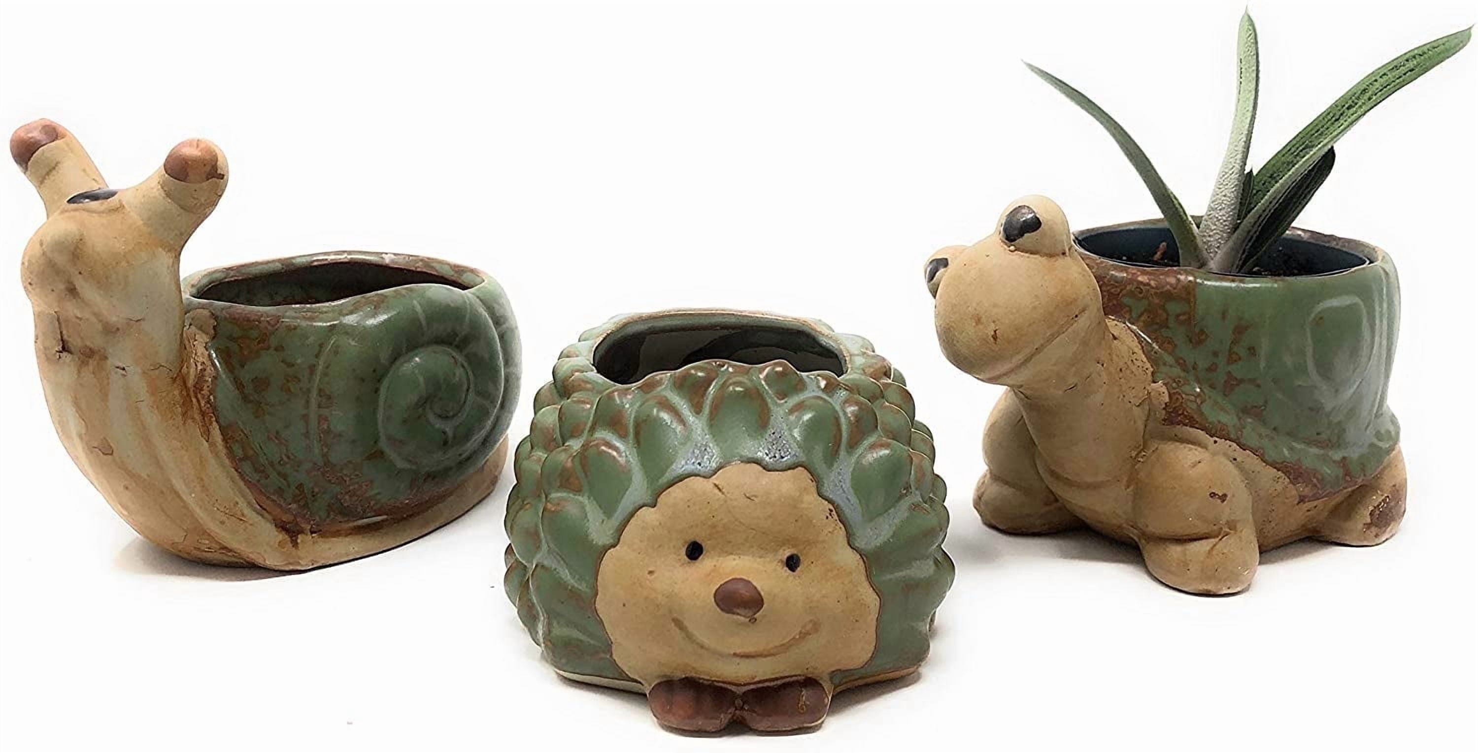 Cotta Planters, Cute Animal Succulent Pots Set, Turtle Snail Hedgehog ...