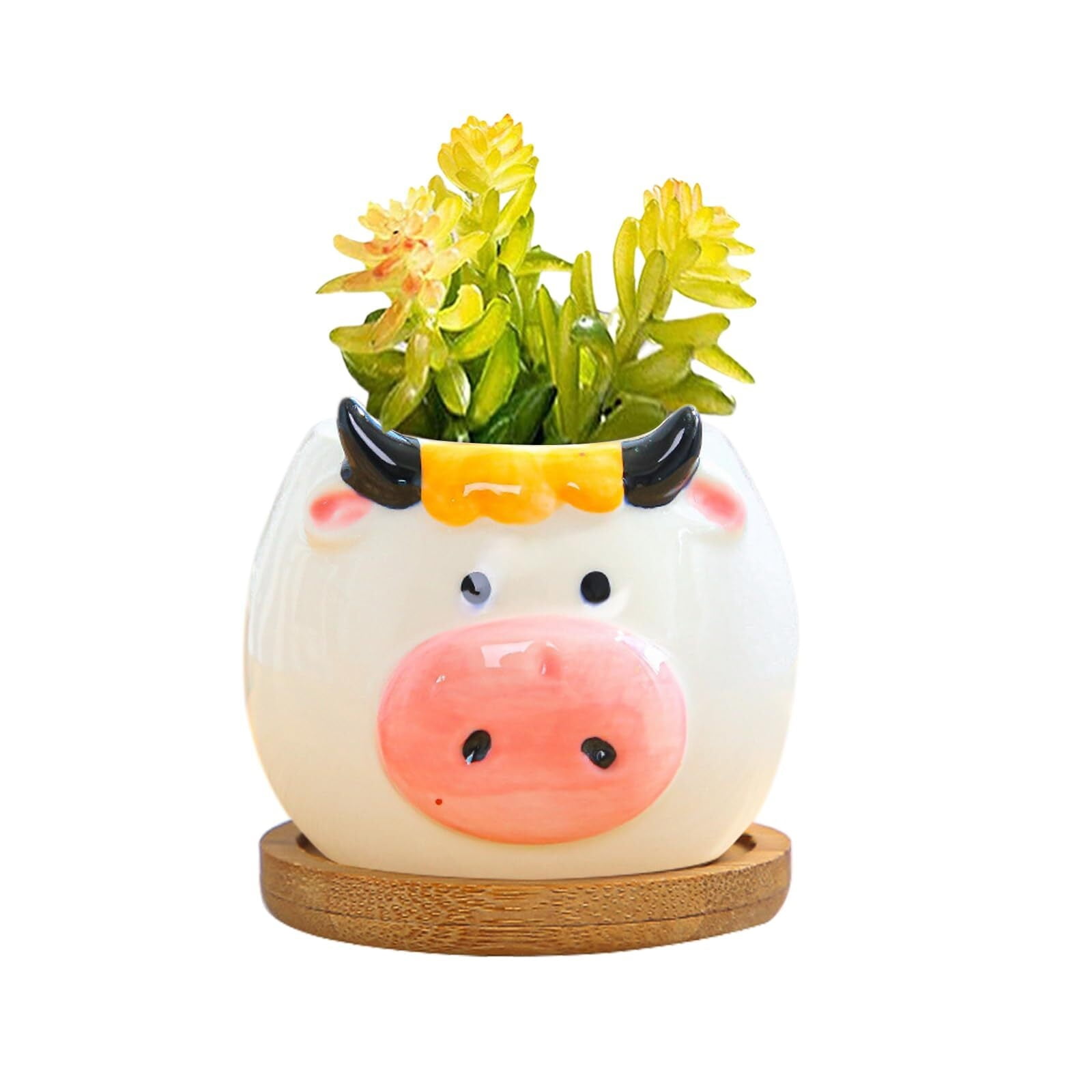 Cute Animal Succulent Planter Pots Ceramics Small Planter with Drainage ...