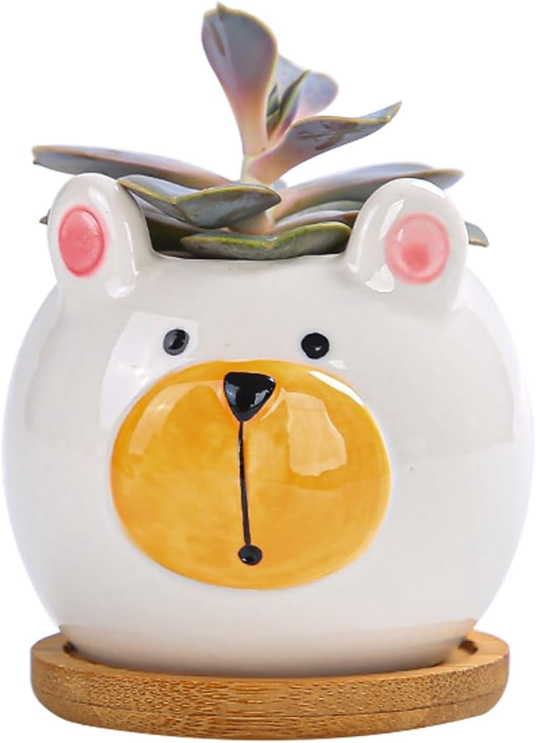 Cute Animal Succulent Planter Pots Ceramics Small Planter with Drainage ...
