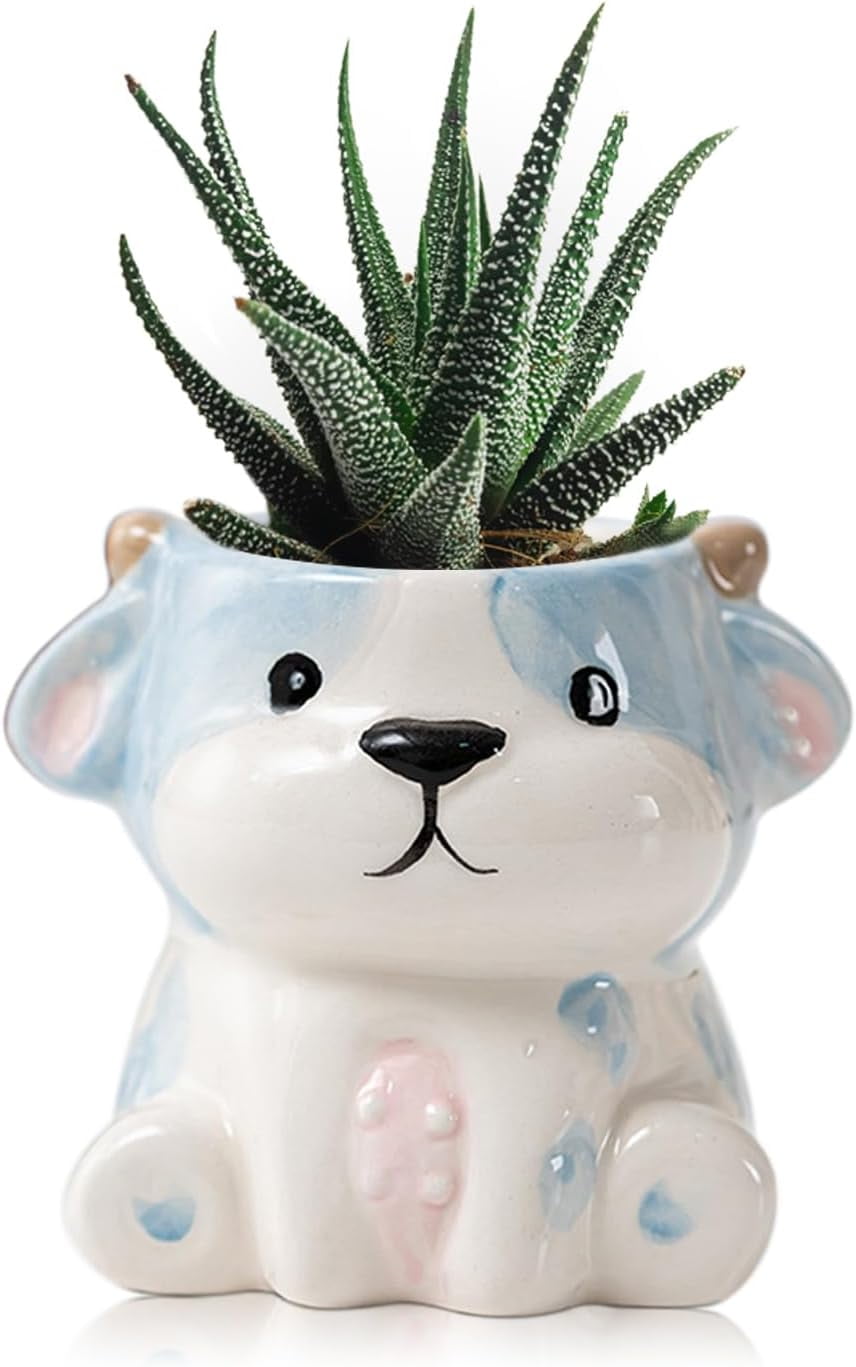 Cute Animals Planter, Mini Ceramic Cartoon Animal Shaped Succulent ...