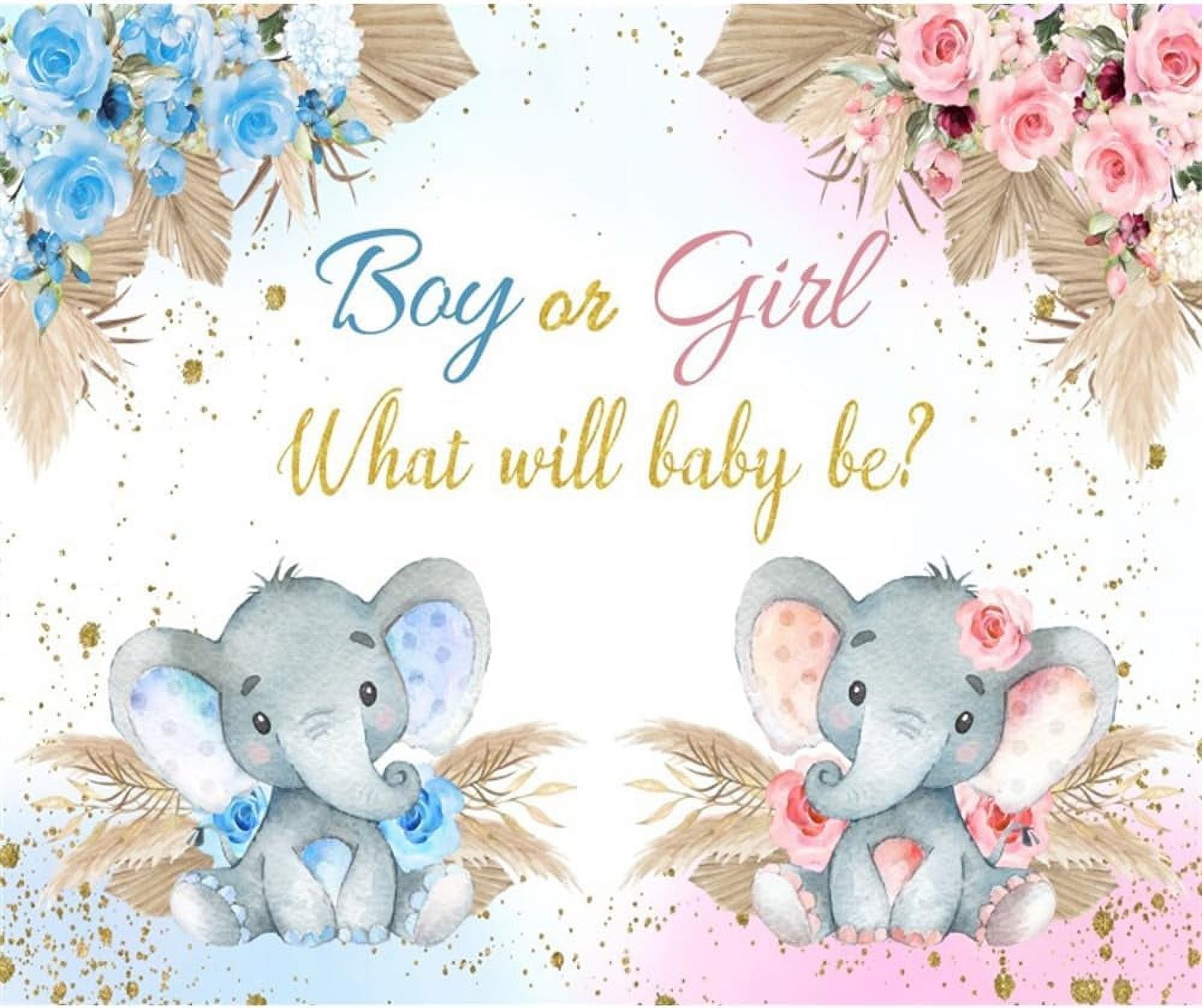 Cute Baby Elephant Backdrop Baby Gender Revealed Boy or Girl ...