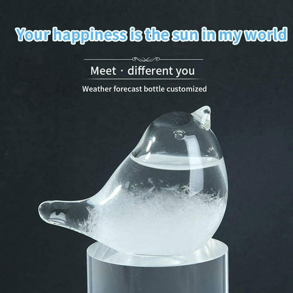 Cute Bird-Shaped Weather Forecast Bottle Customizable Decorative Storm ...