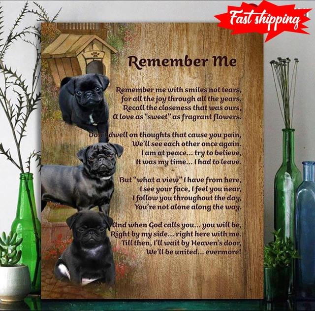 Cute Black English Bulldog Puppies Remember Me Remember Me With Smiles ...
