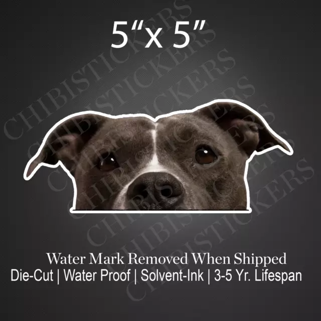 Cute Black Pitbull Pittie Realistic Dog Sticker Vinyl Waterproof Phone ...