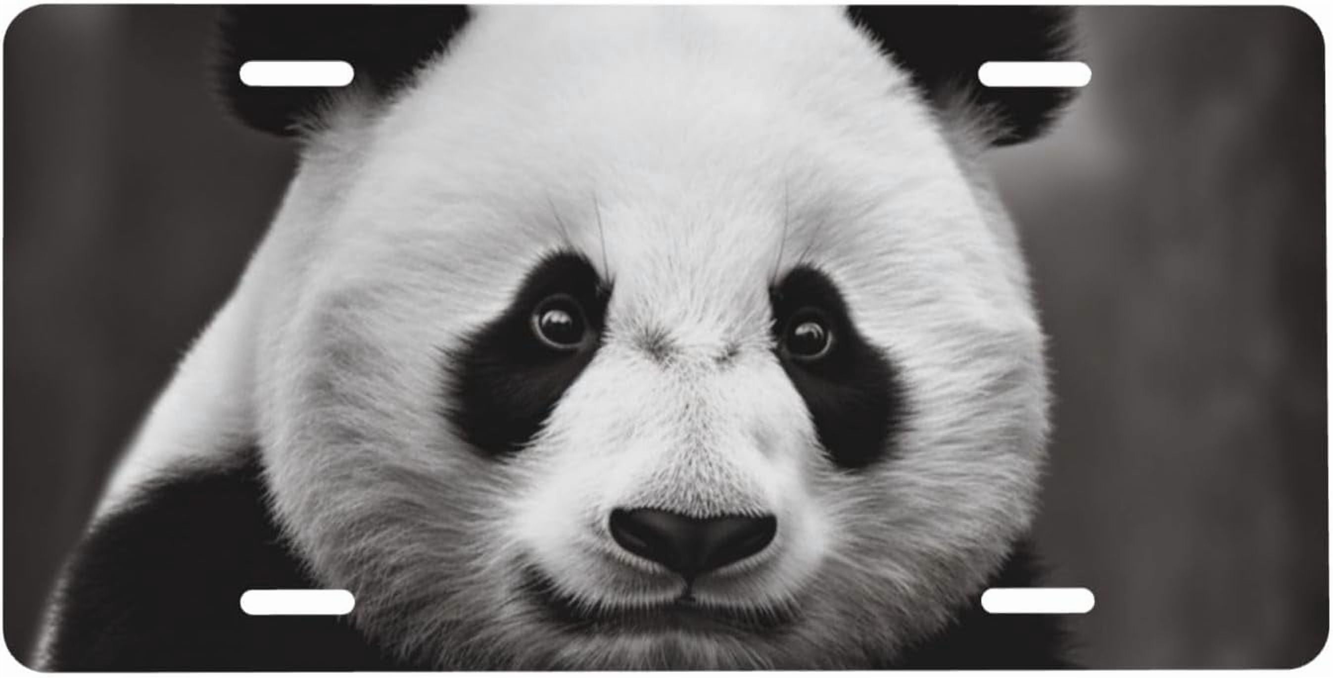 Cute Black and White Panda License Plate Decorative Car Front License ...