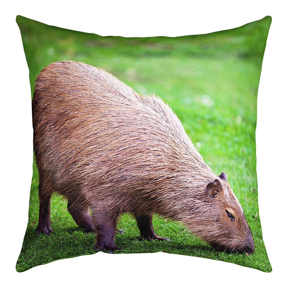 Cute Capybara Throw Pillow Cover 20x20 Inch,Kawaii Decor Relaxing ...