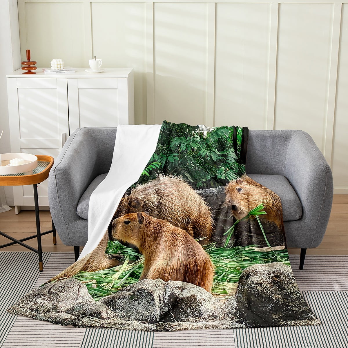 Cute Capybaras Blanket 40x50,Kawaii Decor Eating Capybara Throw Blanket ...