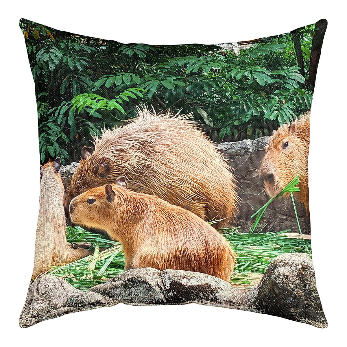 Cute Capybaras Throw Pillow Cover 16x16 Inch,Kawaii Decor Eating ...