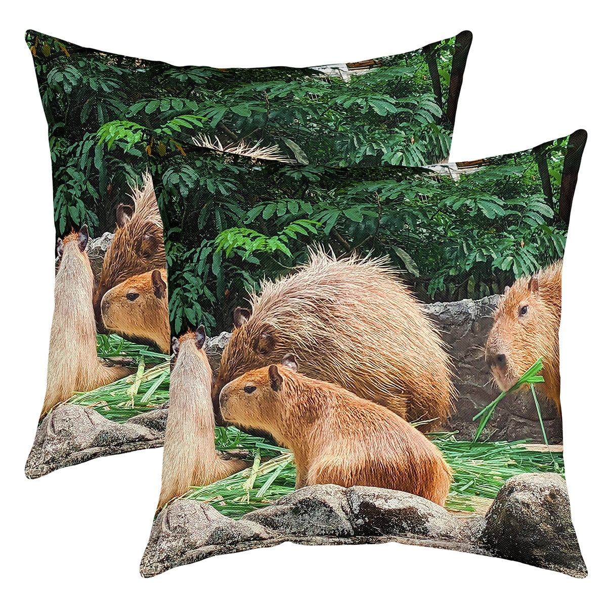 Cute Capybaras Throw Pillow Covers 18x18 Inch Pack of 2,Kawaii Decor ...