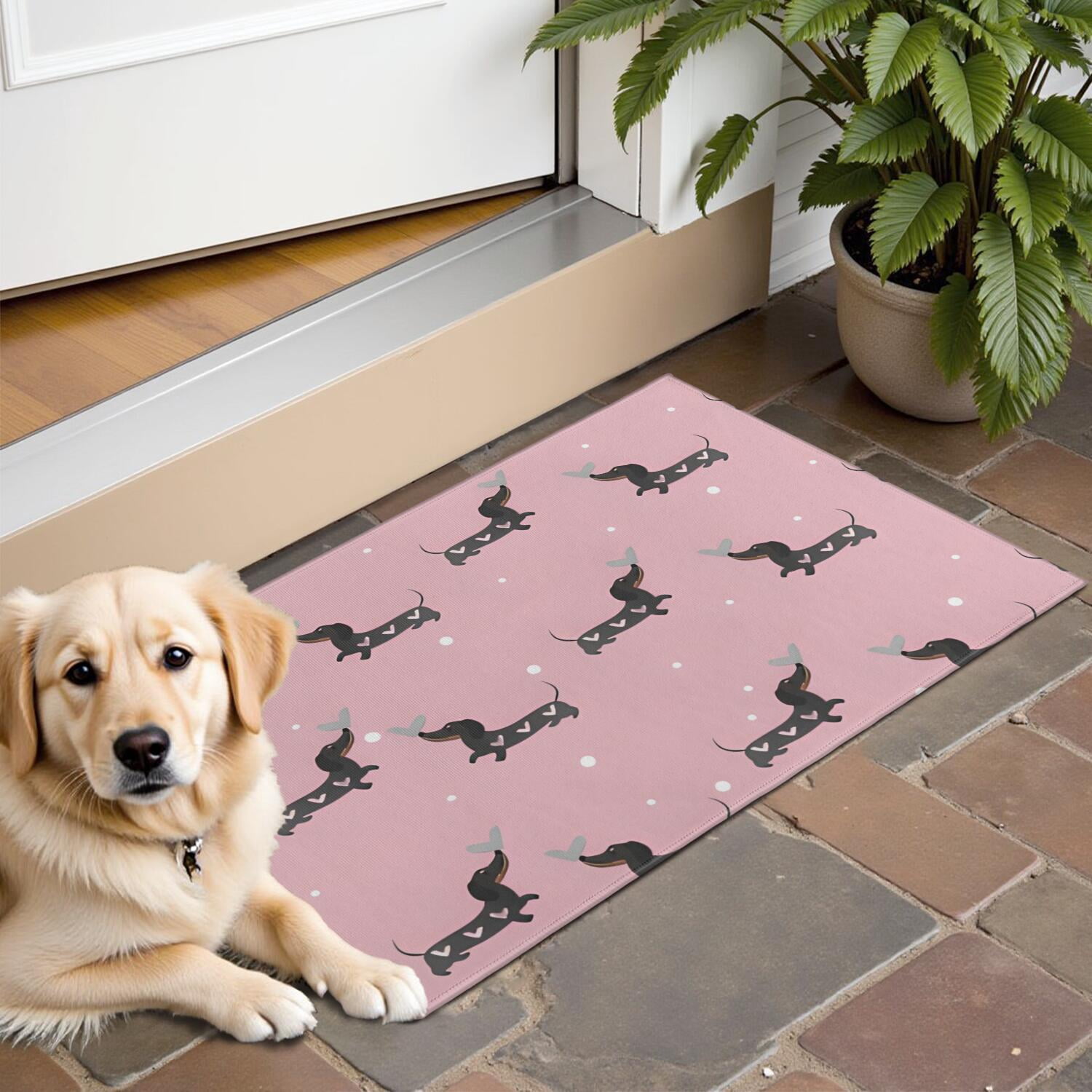 Cute Cartoon Dachshund Door Rugs,Washable Non Slip Door Mats Indoor ...