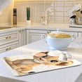 Cute Cartoon Lion Dish Drying Mats for Kitchen Counter Absorbent ...