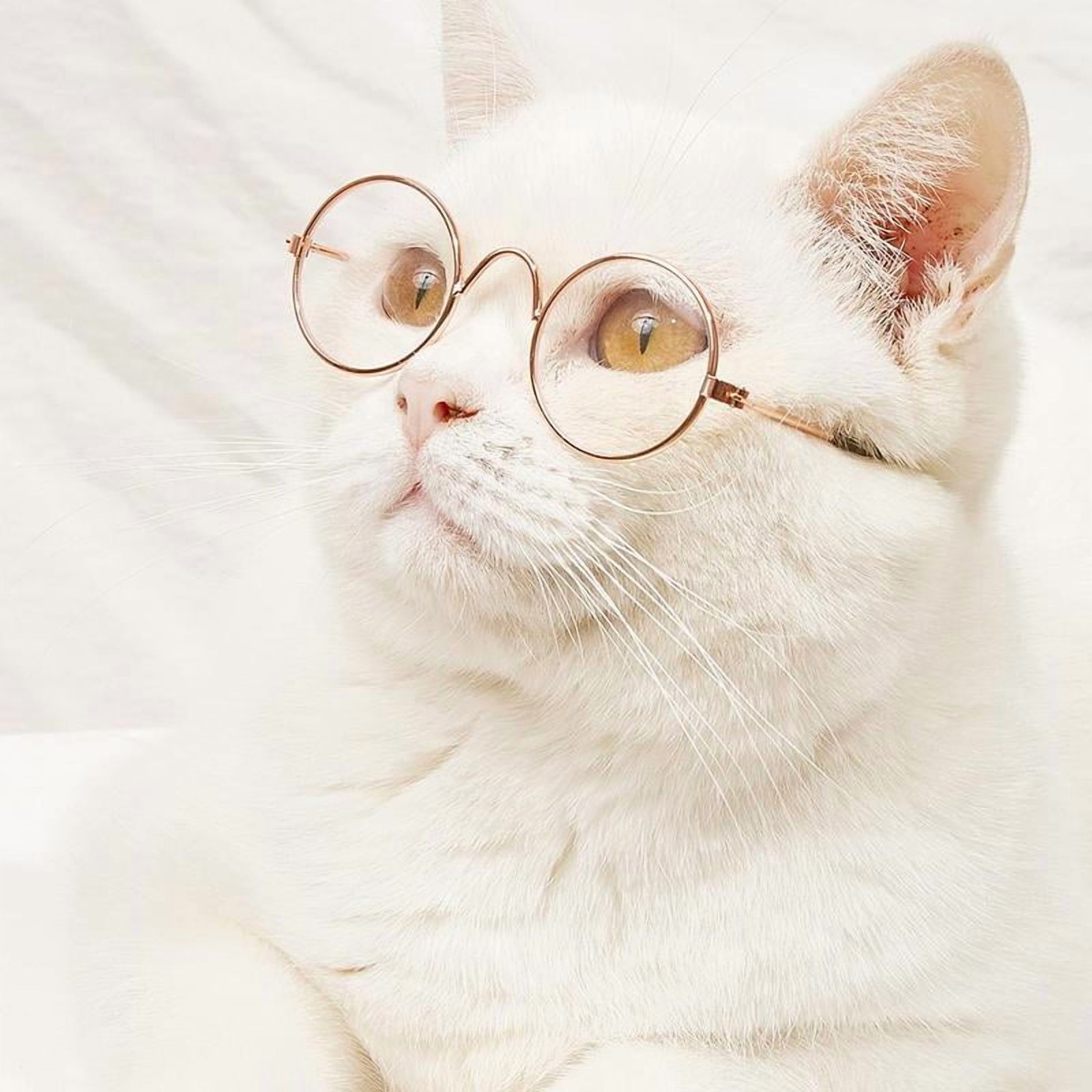 Cute Cat Glasses, 1 Pair Fashion Pet Eyewear for Small Dogs & Cats, Pet ...