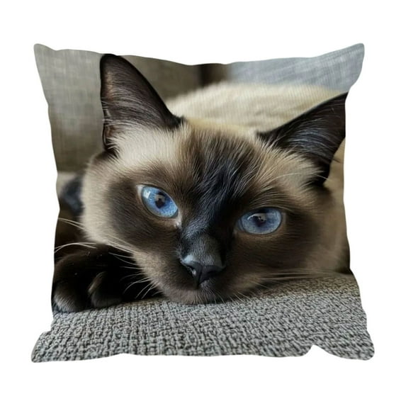 Cute Cat Print Pillowcase, 1pc Suede Soft Sofa Cushion Covers for ...