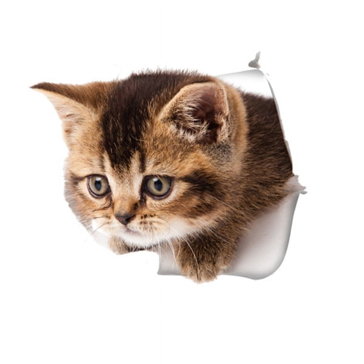 Cute Cats Wall Sticker Hole View Vivid Bathroom 3D Toilet Stickers For ...