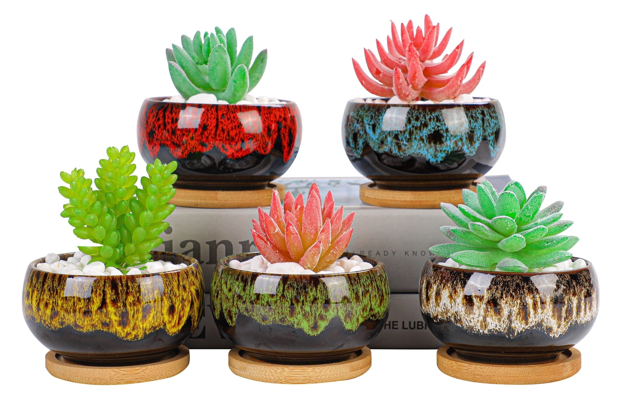 Cute Ceramic Succulent Garden Pots, Planter with Drainage and Attached ...