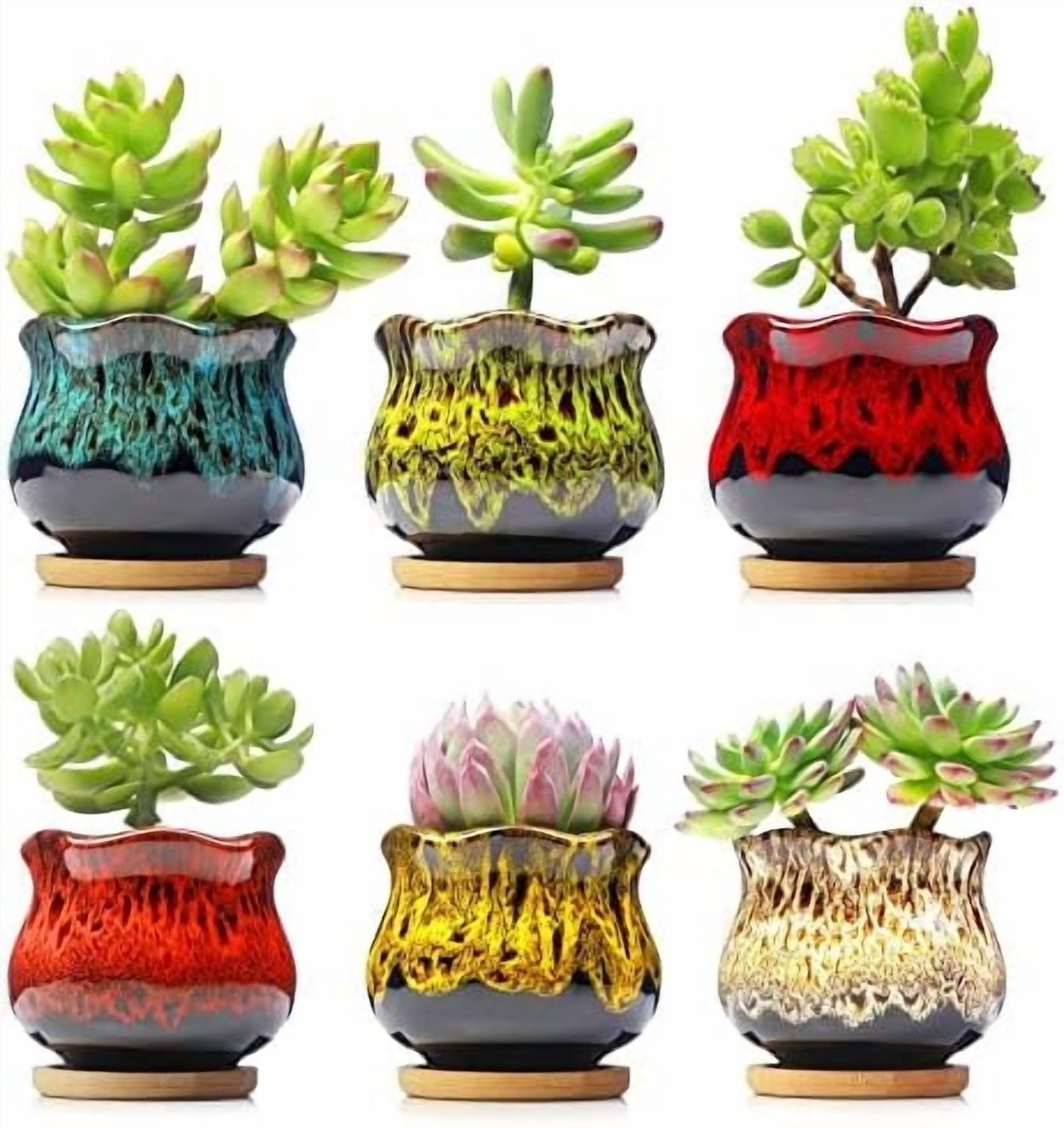 Cute Ceramic Succulent Planters, Garden Pots with Drainage and Attached ...