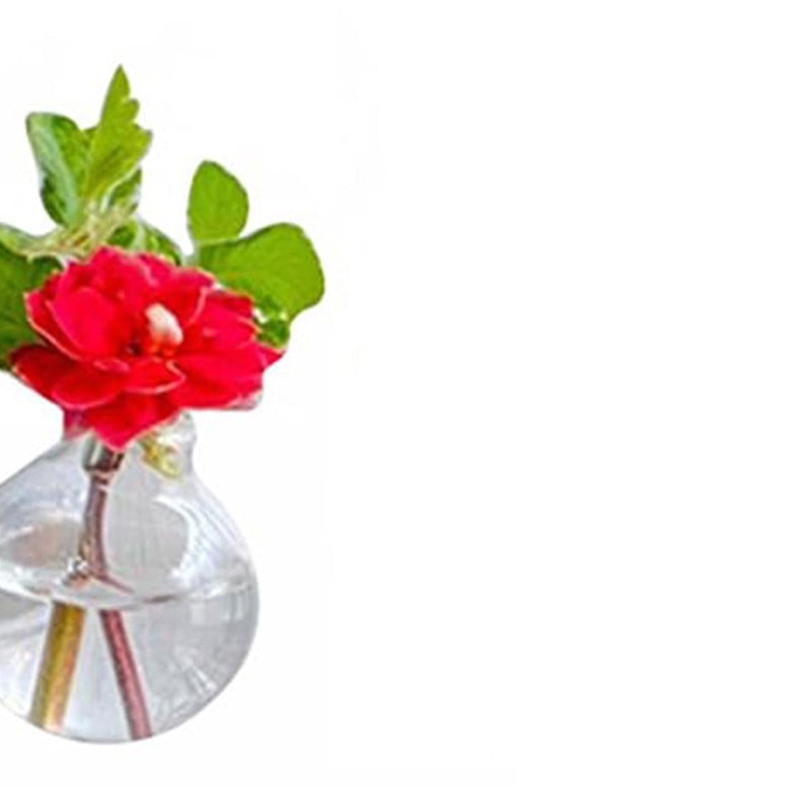 Cute Ceramic Vase Fridge Magnets, 5 Inch Cute Magnetic Ceramic Vases ...