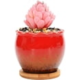 Cute Circular Ceramic Home Garden Decoration Succulent Cactus Flower ...