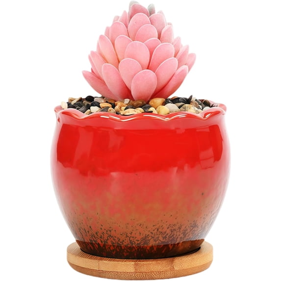 Cute Circular Ceramic Home Garden Decoration Succulent Cactus Flower ...