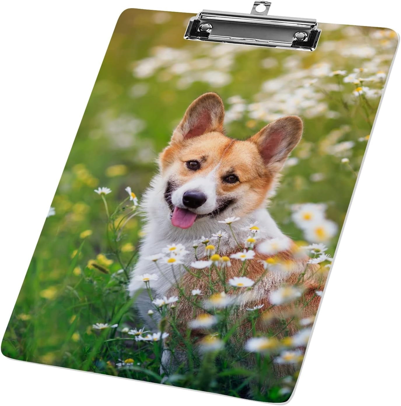 Cute Clipboard Nursing Corgi Dog Puppy Acrylic Clip Board with Low ...
