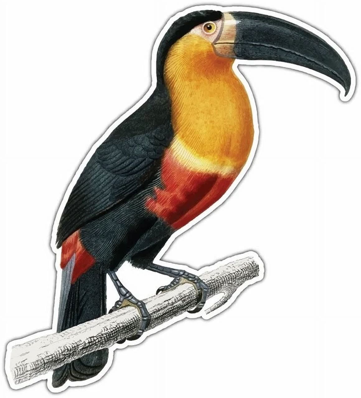 Cute Colorful Toucan Bird Tropical Cartoon Window Stickerphone Decal ...