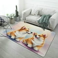 Cute Corgi Area Rug Wet Carpet Luxury Area Rug Living Room Floor Mat ...