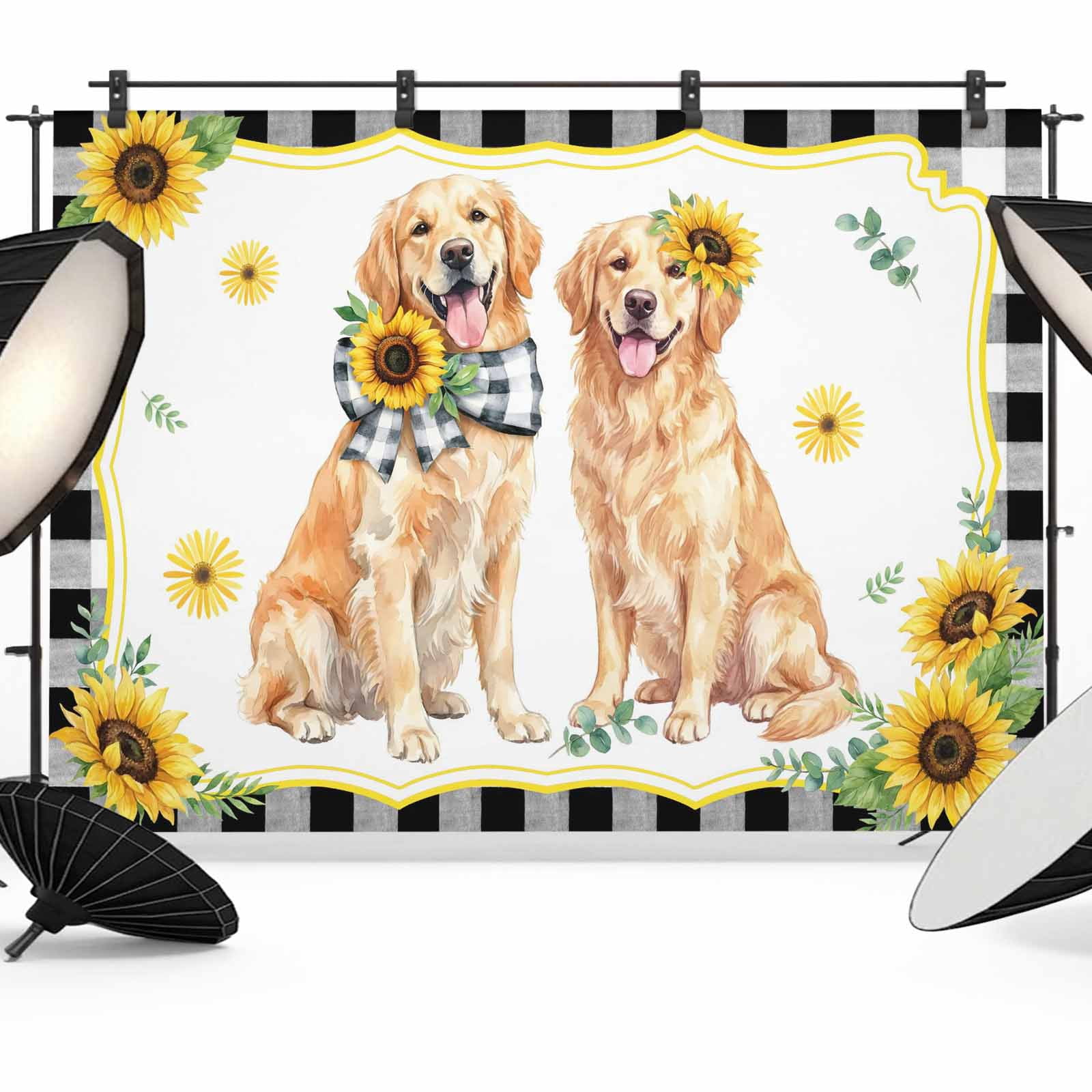 Cute Dag Photography Backdrop 12x8FT, Yellow Sunflower Daisy Black ...