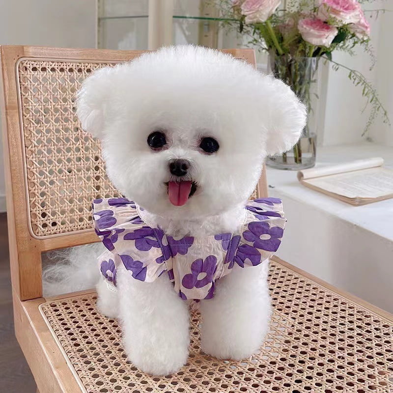 Cute Dog Clothes,Dog T Shirt for Medium Dogs.Dog Clothes for Small Dogs ...