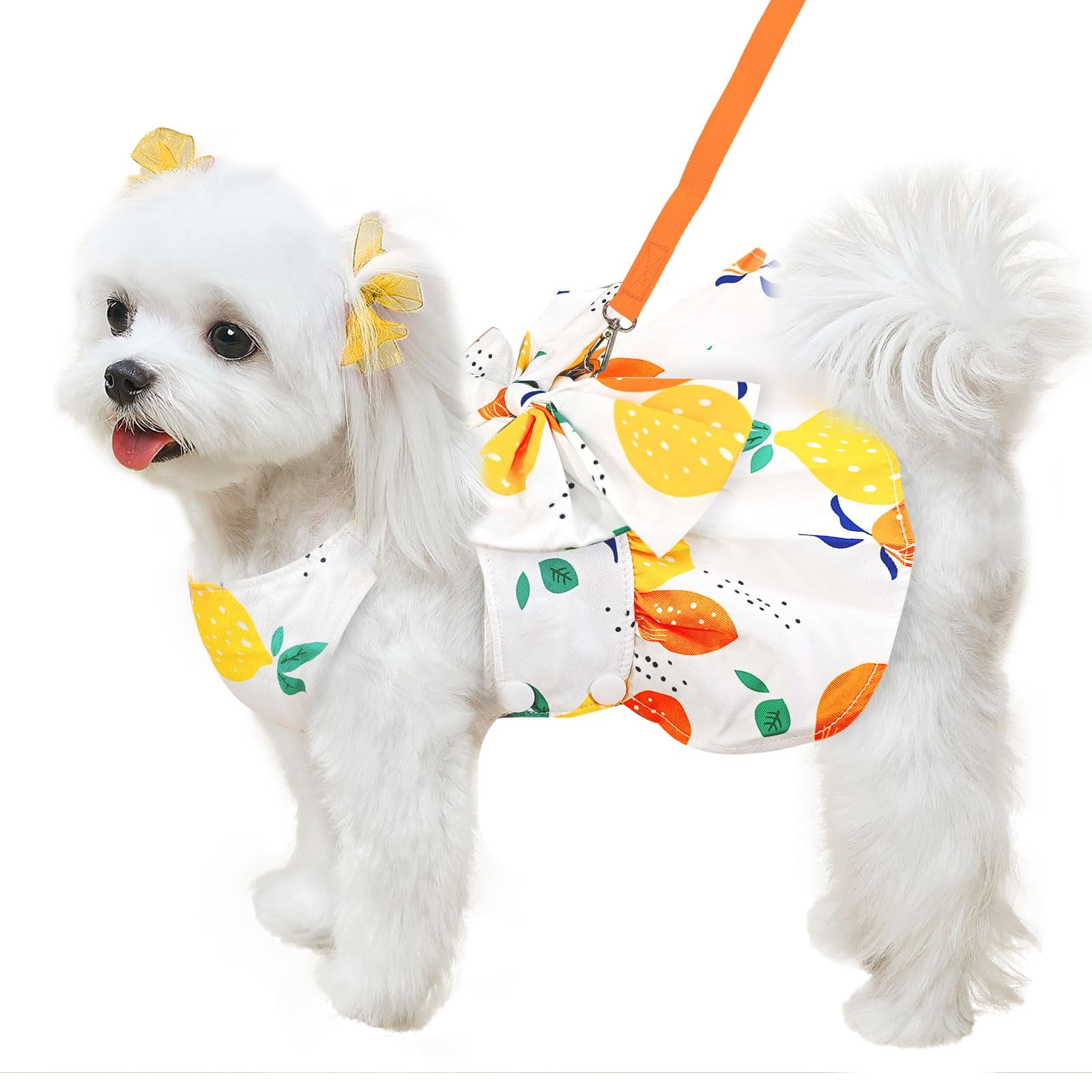 Cute Dog Dress Small Dog Clothes for Girls Female Puppy Outfits Blue ...